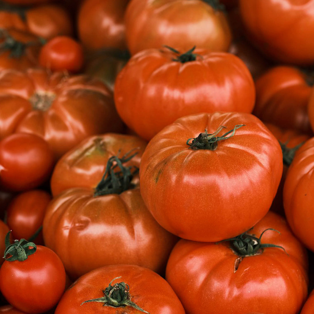Products – Page 2 – Black Hills Bulk Foods